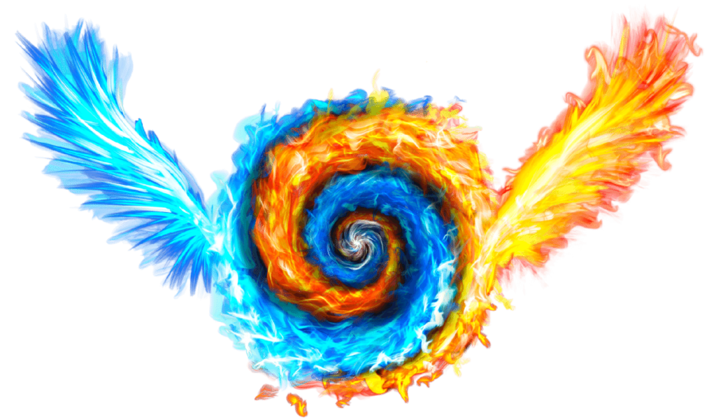 F Fect F – Focus Flow Fly